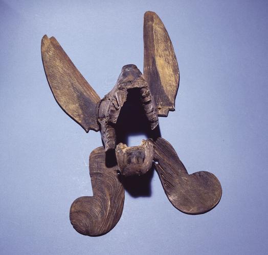 Key Marco Cat Gets Loan Extension from Smithsonian | News ...