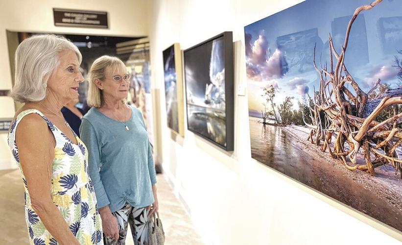 Wood and Water: Jim Freeman's Driftwood Photography Exhibit | Museums ...