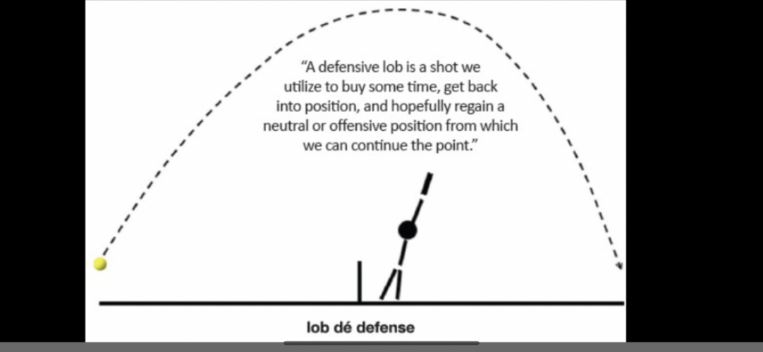 Understanding Lobs | Opinion | coastalbreezenews.com
