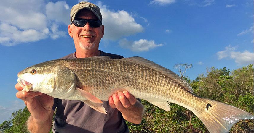 Tips for Saltwater Shore Fishing in the 10,000 Islands | Opinion ...
