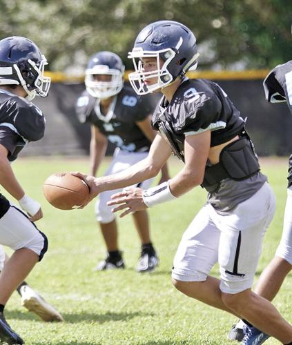 Rays Looking More Polished in Year Two Under Montgomery | Sports ...