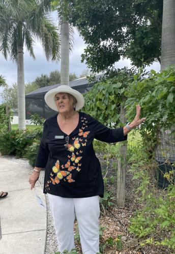 Calusa Garden Club Fall Programs Feature Creative Ideas | Clubs ...