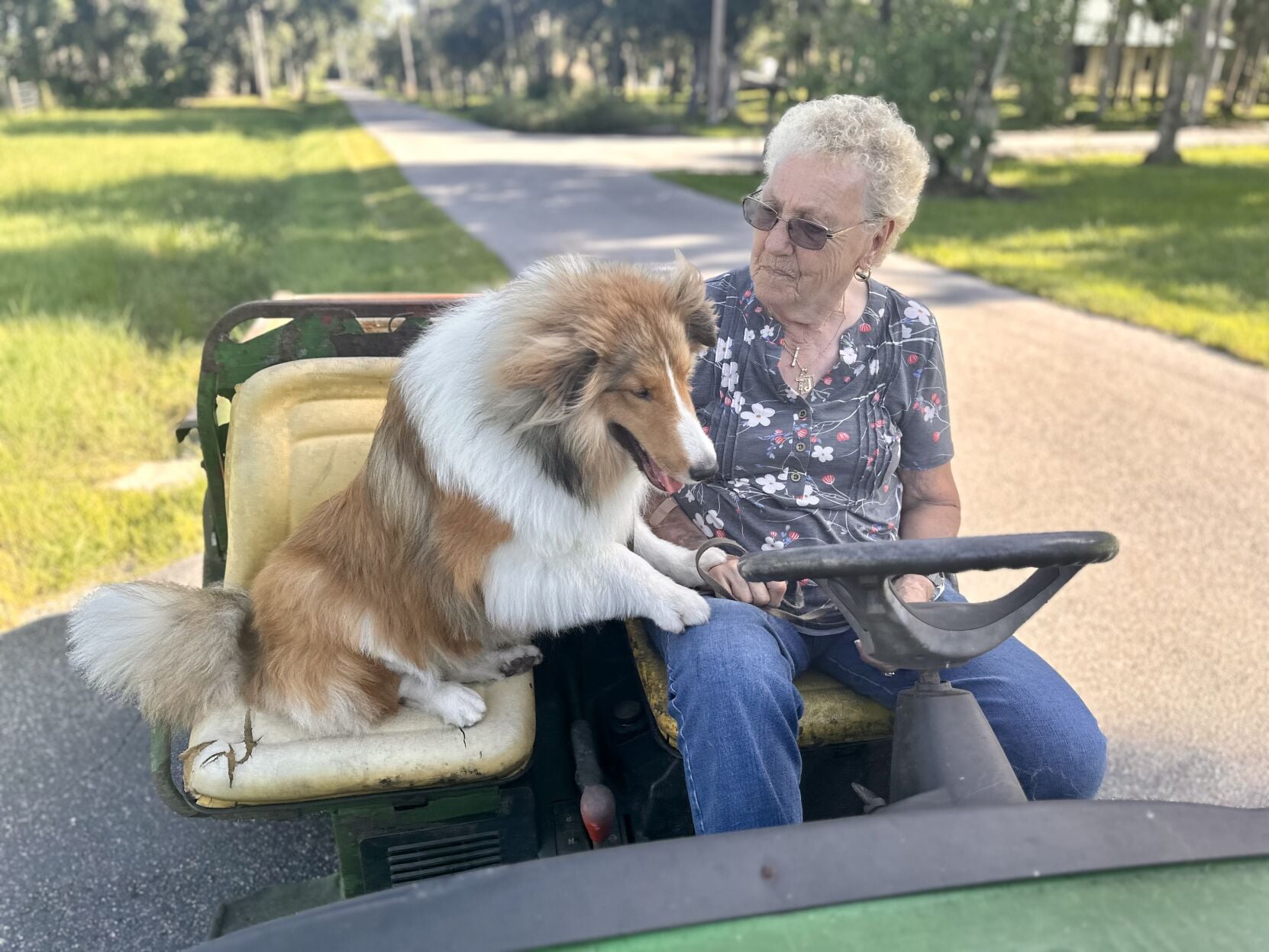 Proposed Sabal Palm Development | News | coastalbreezenews.com