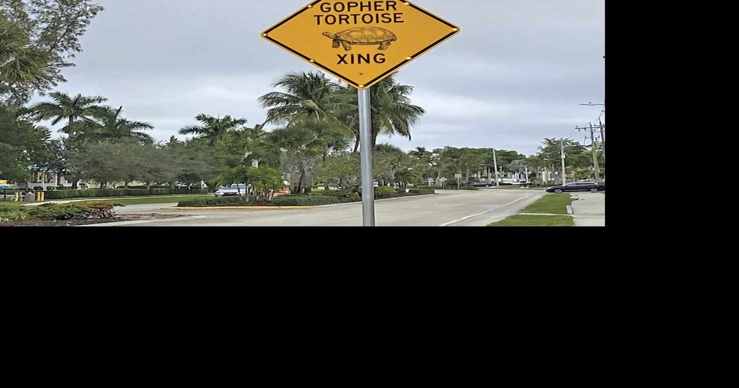 Burrow Buddies Club Show Love for Marco Wildlife | Clubs ...