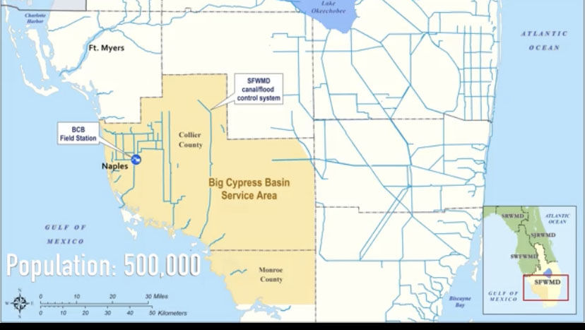 Governor DeSantis Appoints Nanette Rivera of Marco to Big Cypress Basin ...