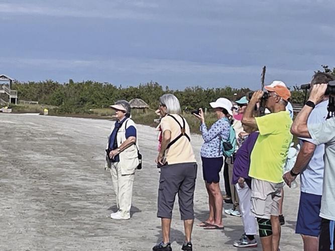 Breakfast and Birds Back at Tigertail | Environment | coastalbreezenews.com