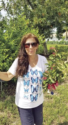 Calusa Garden Club Presents: Butterfly Gardens | Clubs & Organizations ...
