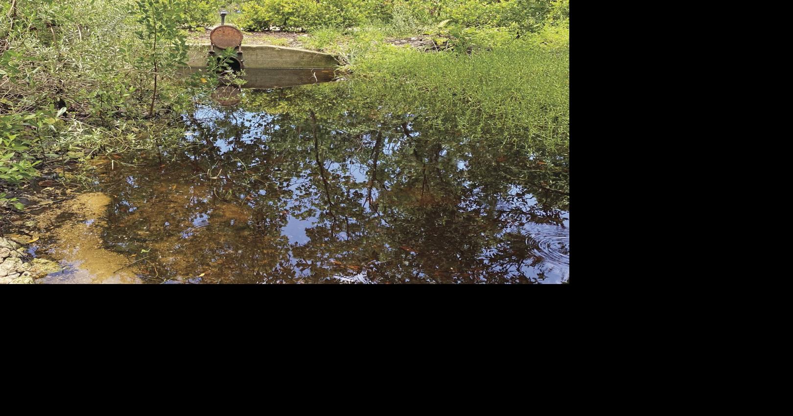 Water Quality Concerns at Big Marco Pass | Community ...