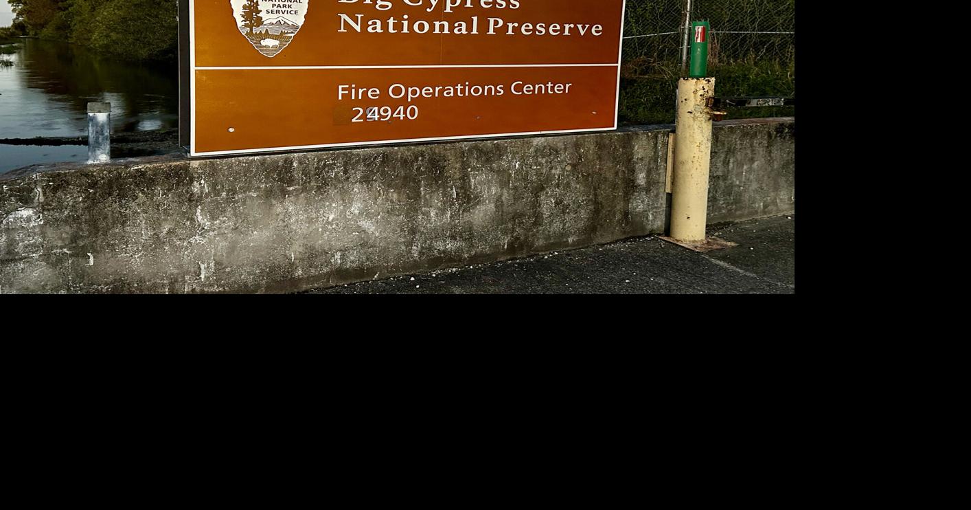 Proposed Wilderness Designation Restricts Access to Big Cypress ...