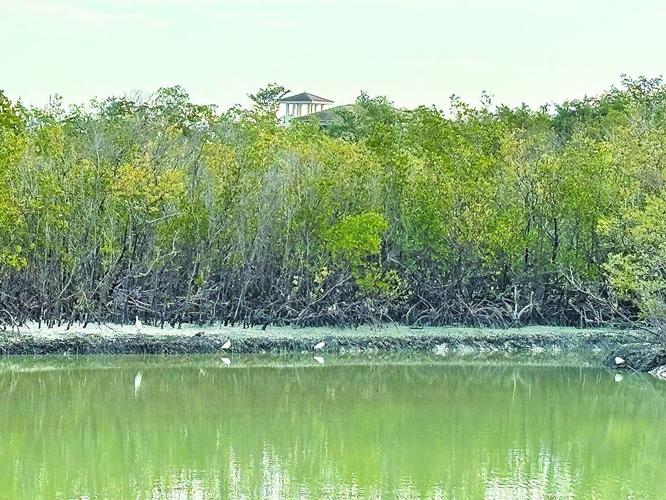 More Funds Approved to Complete Berm Project | City | coastalbreezenews.com