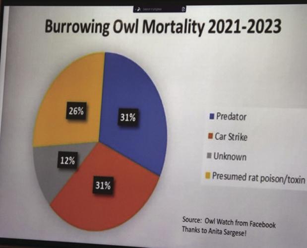 Councilors and City Staff Urge Second Look at Proposed Ordinance | City ...