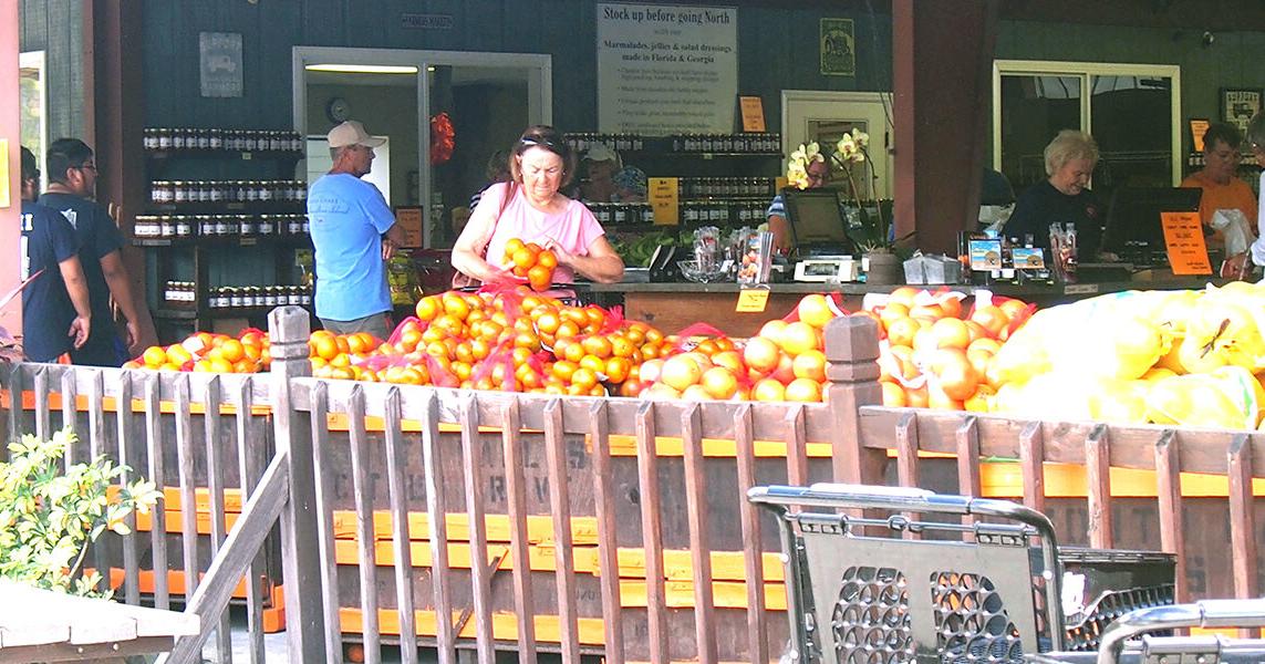 South Naples Citrus Grove is a Short Drive from Marco | News ...