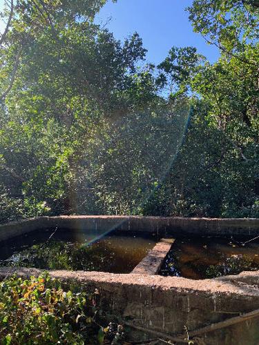 The Calusa Tribe | Opinion | coastalbreezenews.com