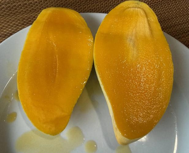 It’s Mango Time, Marco! | Community | coastalbreezenews.com
