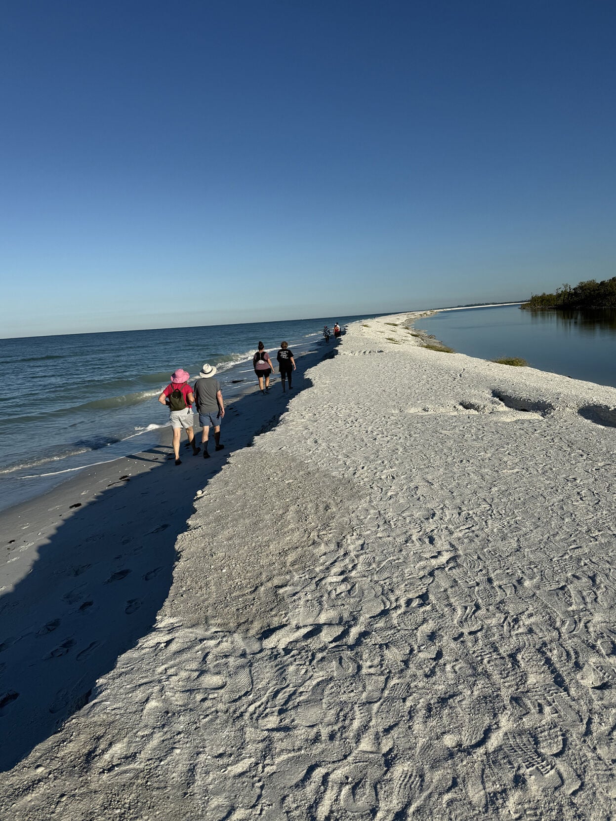 Sand Dollar Island Berm Maintenance and Repair | City ...