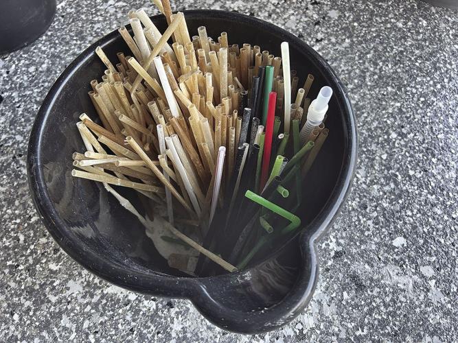 Plastic Straws a Danger to Sea Turtles | Environment ...