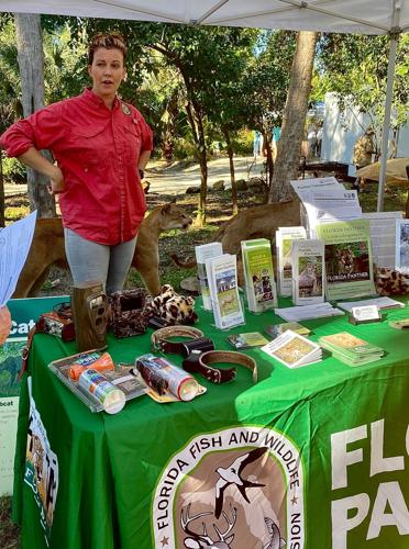 The Wilderness of the Gore Education Center is Well Worth the Drive ...