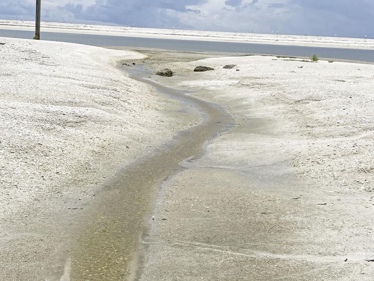 Water Quality Concerns at Big Marco Pass | Community ...