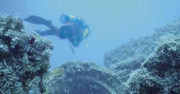 Project’s Final Legacy Reef Named | News | coastalbreezenews.com