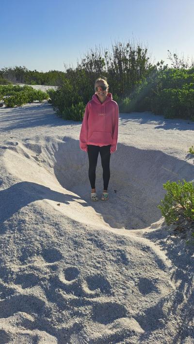 Save a Sea Turtle: Fill in Holes on Beach | Environment ...