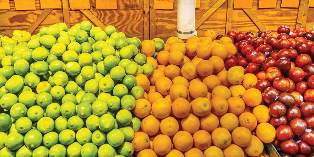 Comparing Apples and Oranges | Opinion | coastalbreezenews.com