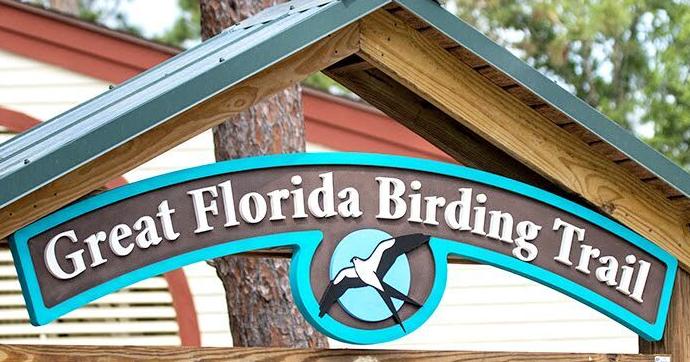 FWC Launches New Birding and Trail Website | Clubs & Organizations ...