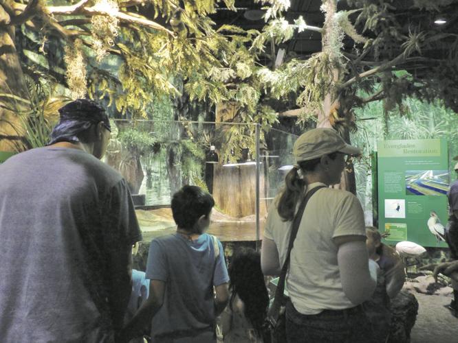 Conservancy of Southwest Florida Celebrates Earth Day | News ...