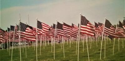 Rotary Club Hosts Marco Island’s First Annual Flags for Heroes ...