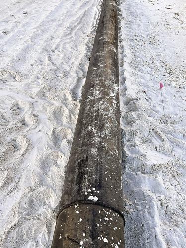 Sea Turtle False Crawls Continue on Marco | Environment ...