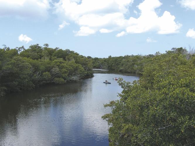 Getting Up Close to Nature at Rookery Bay Estuaries Day | Community ...