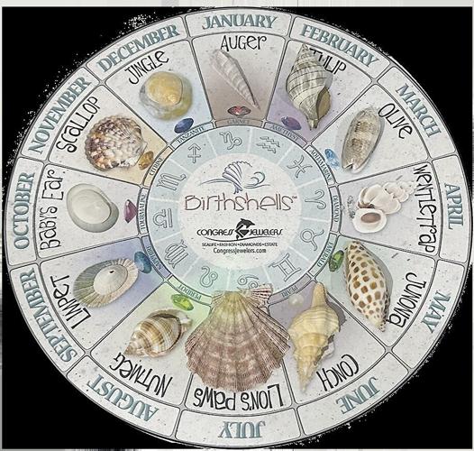 Shell Expo Reaches New Heights | Lifestyles | coastalbreezenews.com