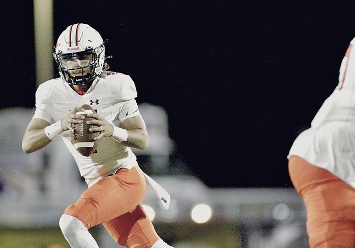 Lely Manhandles Bull Sharks | Sports | coastalbreezenews.com