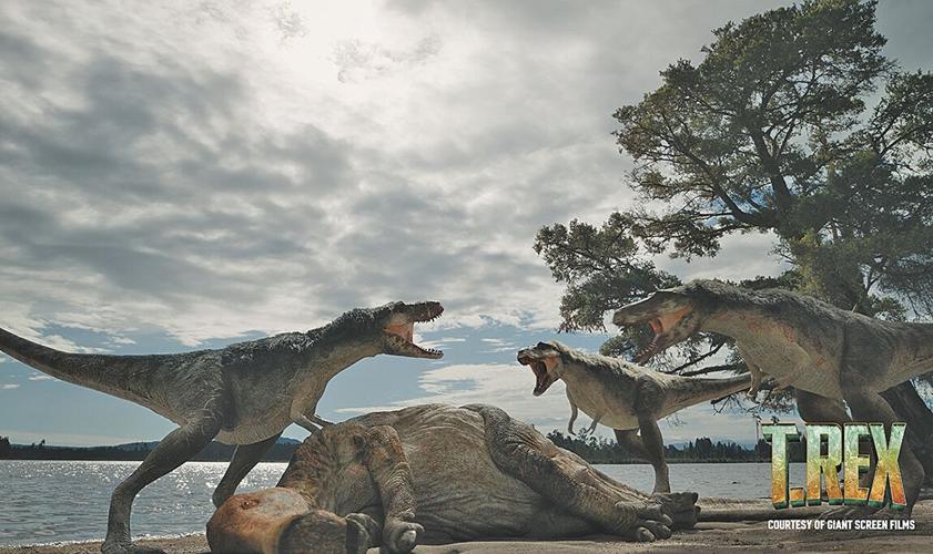 IMAG Presents the World Premiere Film “T. REX” | Entertainment ...