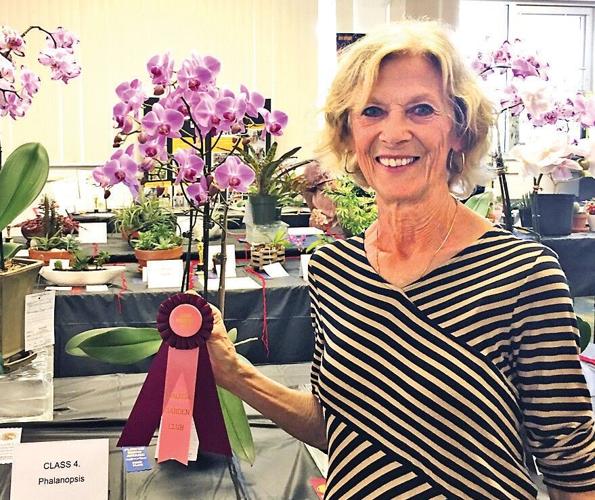 Annual Flower Show Awards | News | coastalbreezenews.com