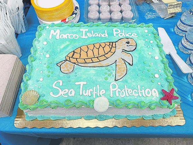 Marco Hosts Successful Sea Turtle Open House | Environment ...