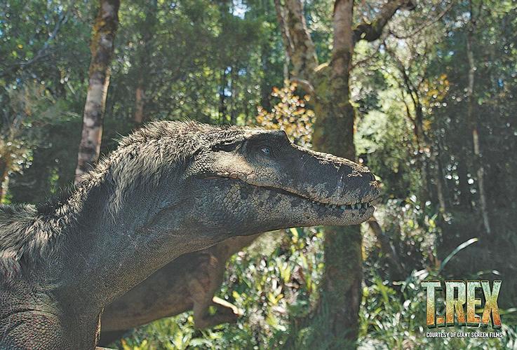 IMAG Presents the World Premiere Film “T. REX” | Entertainment ...