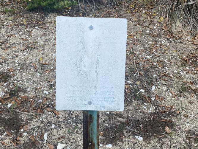 Gopher Tortoise Signs Available to the Public | News ...