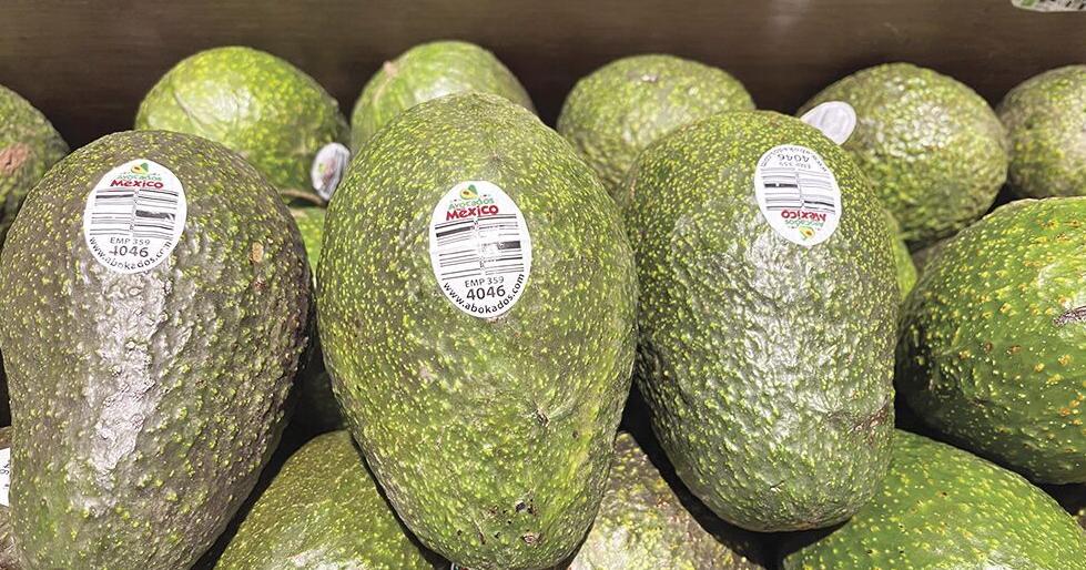 There’s a Lot to Love about Avocados | Health | coastalbreezenews.com