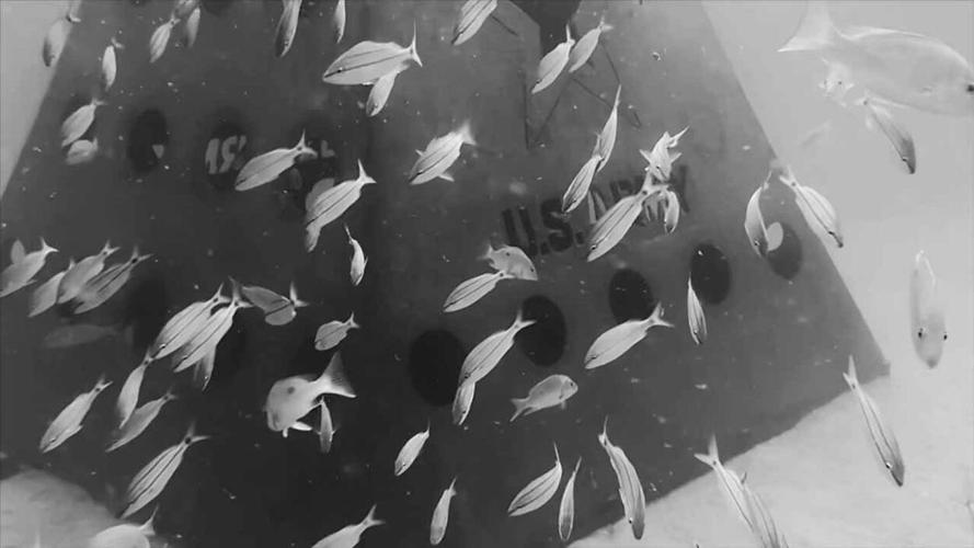 Warrior Memorial Reefs Foundation | Community | coastalbreezenews.com