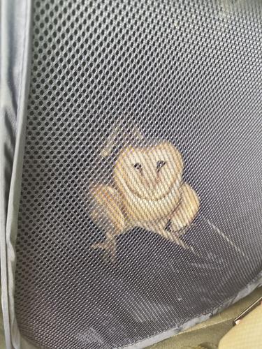 The Path of Poison | Environment | coastalbreezenews.com