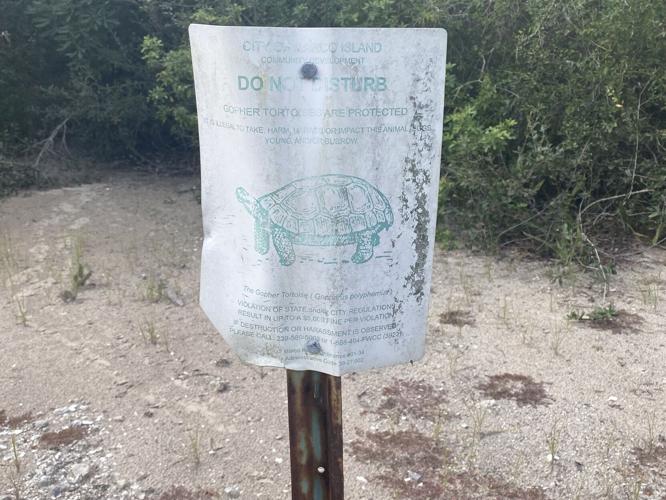 Gopher Tortoise Signs Available to the Public | News ...
