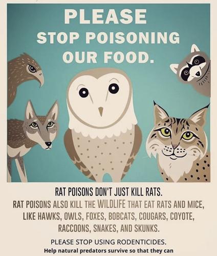 The Path of Poison | Environment | coastalbreezenews.com