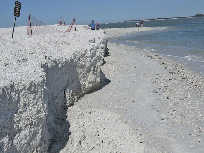 January Berm Project Update | What’s the Price of Sand? | News ...