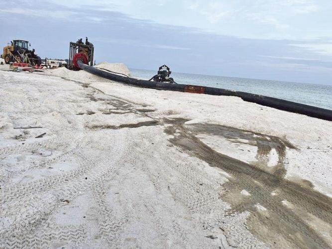 Protecting Sea Turtles During Sand Berm Project | Environment ...