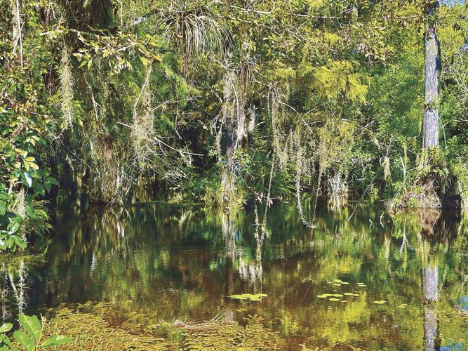 Clyde Butcher – The Ansel Adams of our Time | Lifestyles ...
