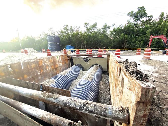 Mangrove Restoration Project Moves into Final Phase | Environment ...