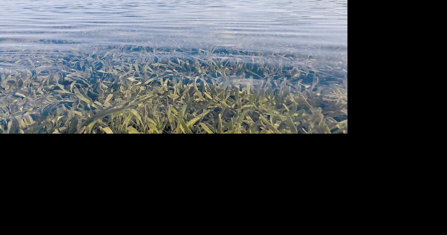 Record-High Coastal Water Temperatures in South Florida | Environment ...