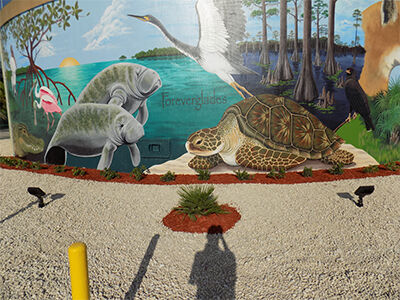 Who Cares about the Goodland Water Tank? COLLIER COUNTY DOES! Another ...