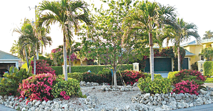 “Marco in Bloom” Nomination Forms Are Now Available! | News ...