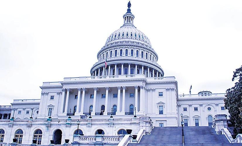 Our US Capitol Building Outside and In | Opinion | coastalbreezenews.com